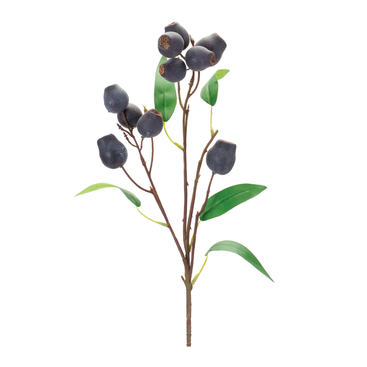Plum Pod Spray (Set of 6) - Tuesday Morning