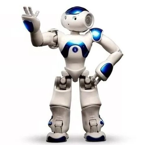 Advanced Humanoid AI Companion Robot for Adults with Multi-Sensory Int ...