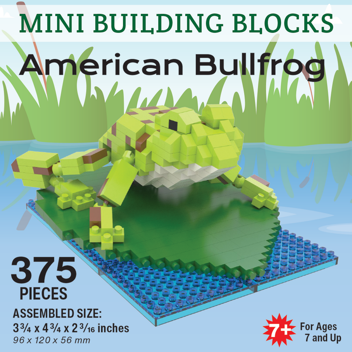 Mini Building Blocks - American Bullfrog – Tuesday Morning