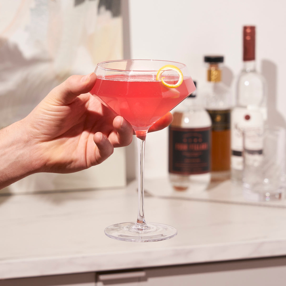 Seneca crystal diamond martini glasses viski® - Tuesday Morning